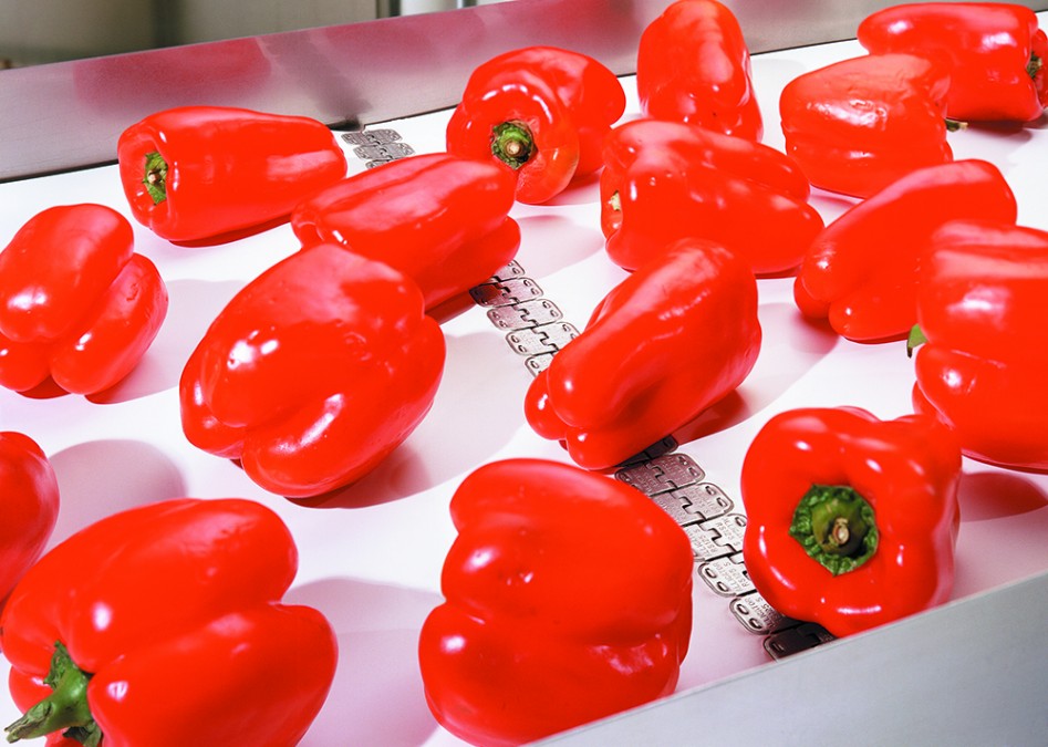 Fasteners Alligator Ready Set for belts splicing from Flexco ...